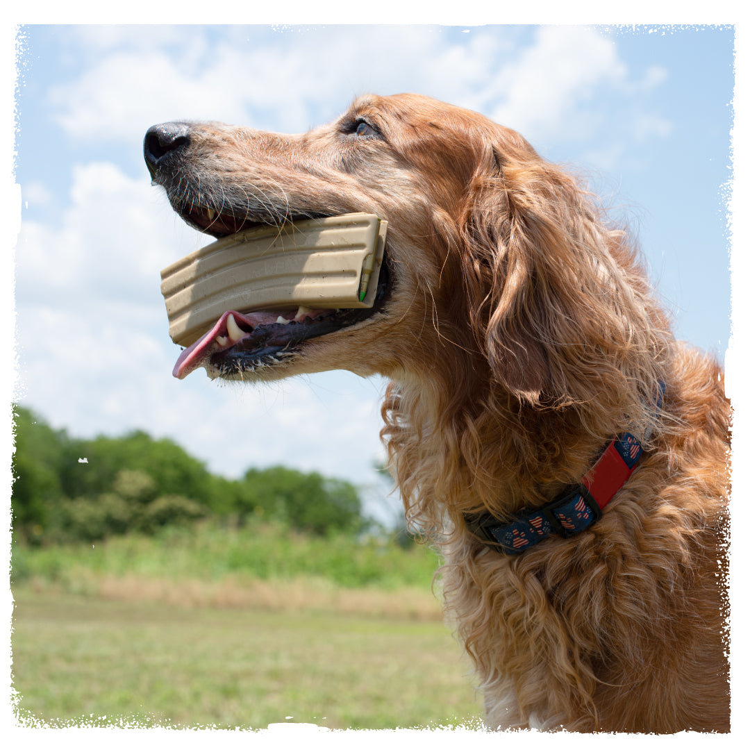 Mag Munch | CHOMP - Dog Toy Replica – Carbon Hound